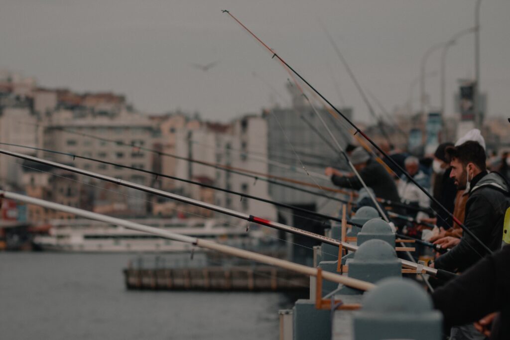 Fishing Line Types: Monofilament Vs. Braid Vs. Fluorocarbon